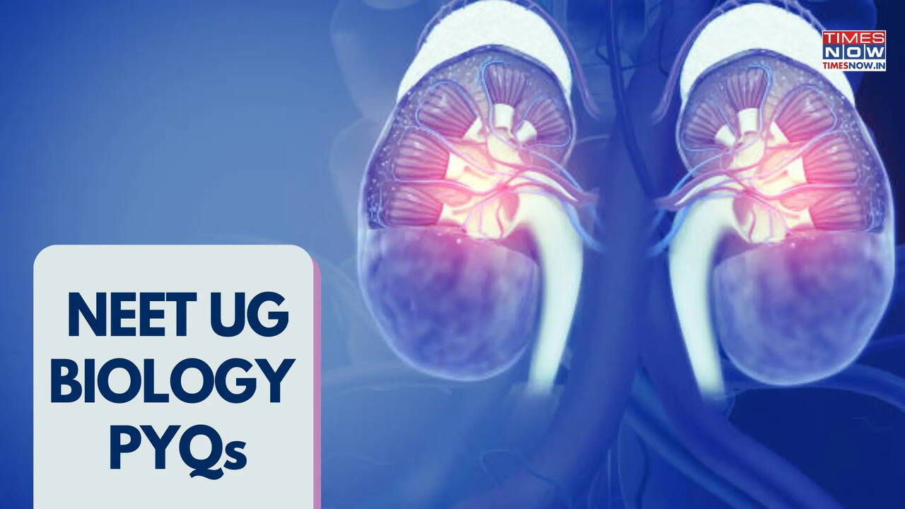 20 Biology Pyqs For Neet Top 20 Questions You Should Practice