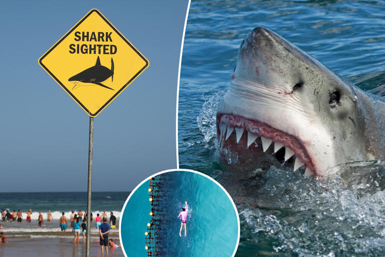 Beware of the world’s shark attack hotspots — including one US ...