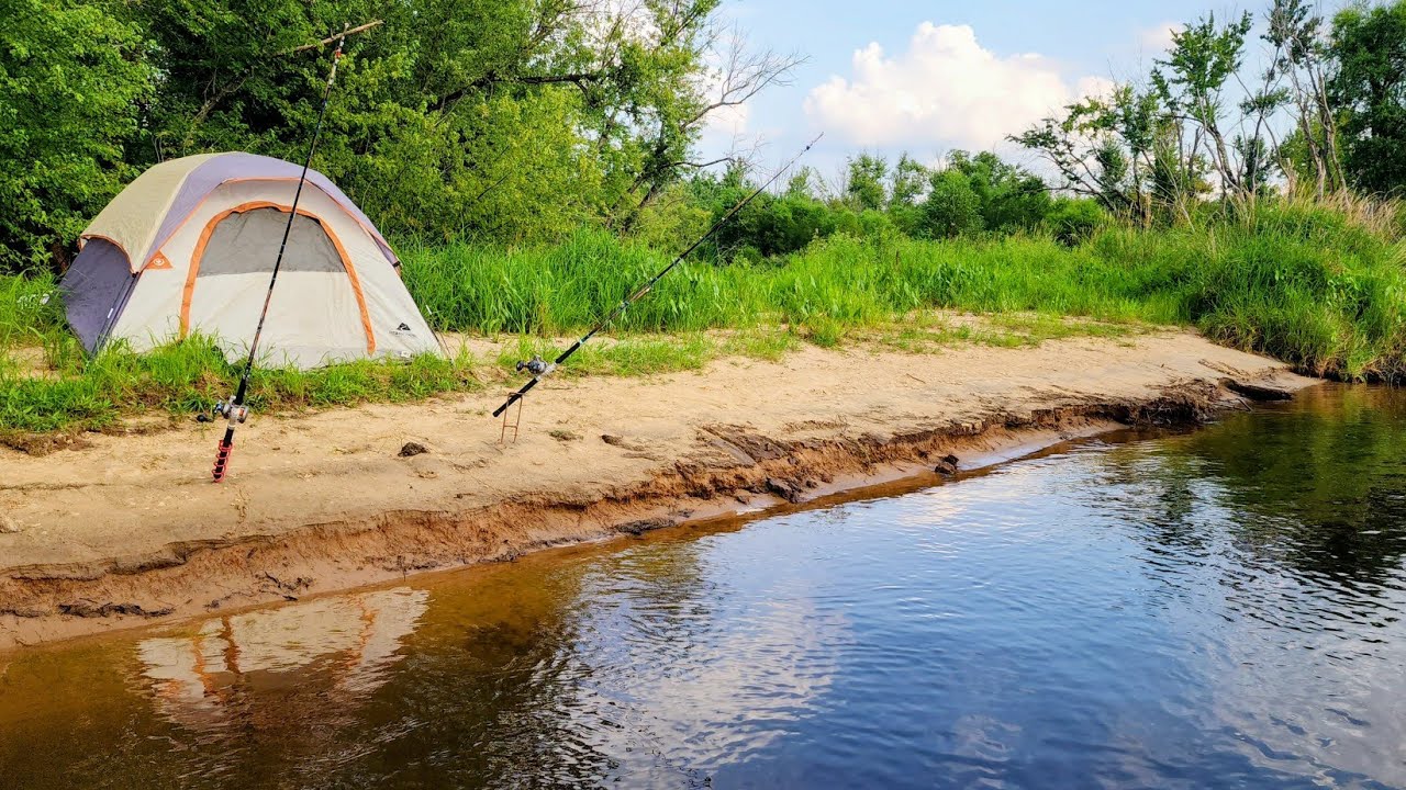 Giant flathead catfish in this area