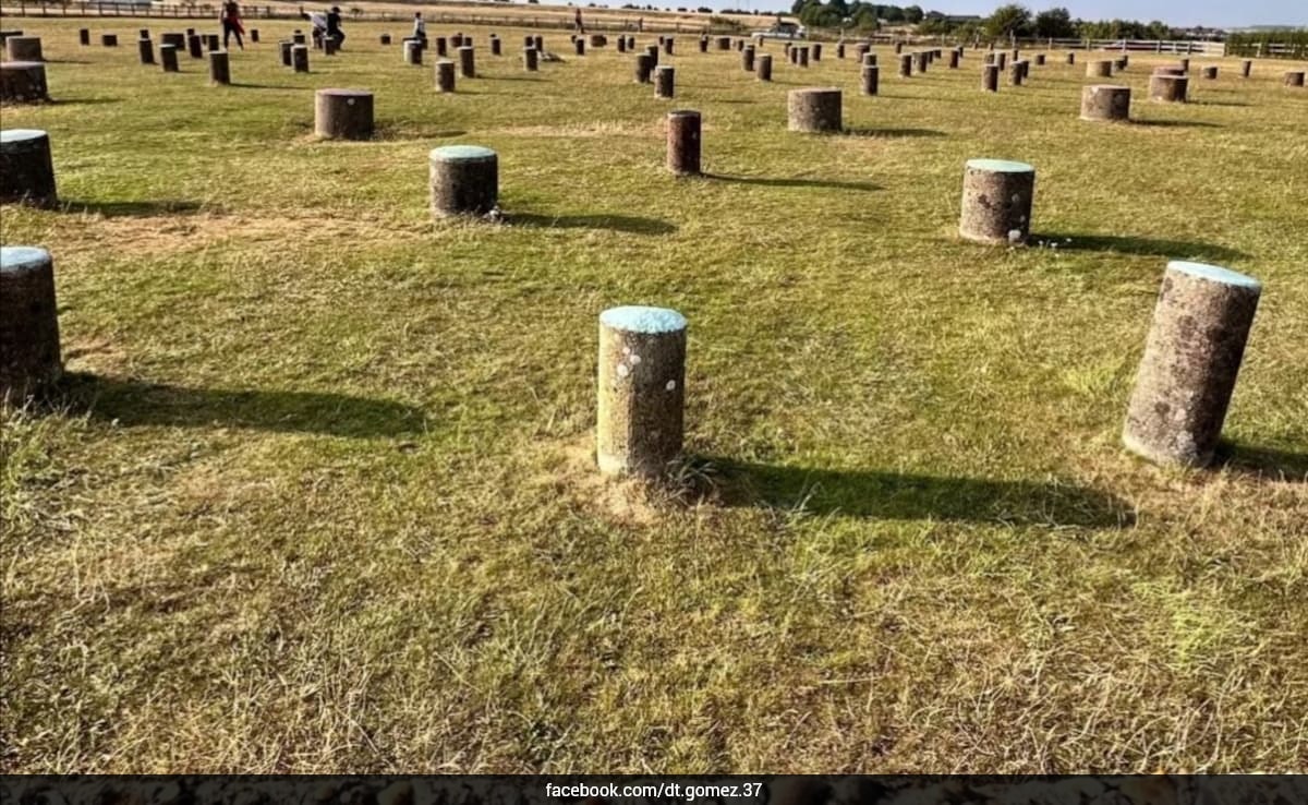 Archaeologists Confirm Humans Carved Massive Neolithic Pits Near Stonehenge