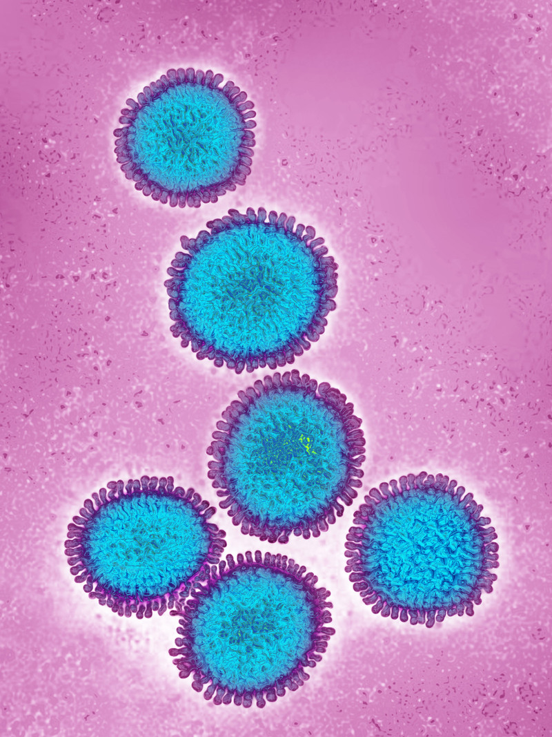 Flu cases are up more than 40% this week compared to last but still at ...