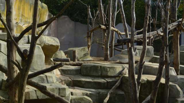 Zoo visitor captures frustrating video of tourists' thoughtless ...