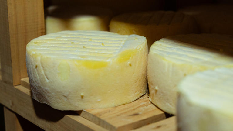 The Old-School Method Of Preserving Cheese That You Seriously Shouldn't Do