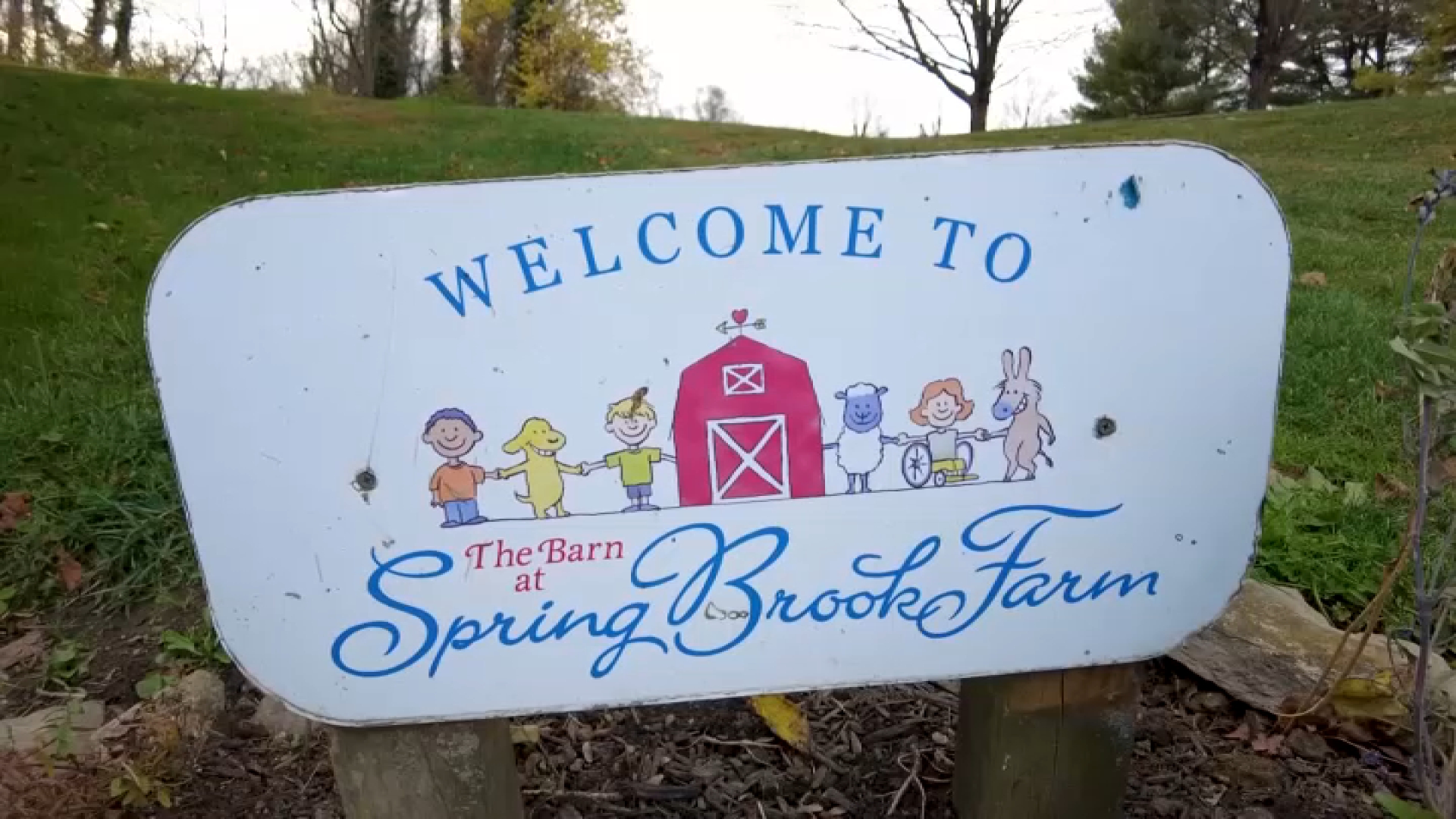 Pa. farm helps children with disabilities thrive by connecting them to ...