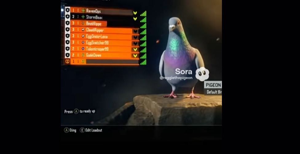Bird Game 3 is taking over TikTok, and no one cares that it's fake