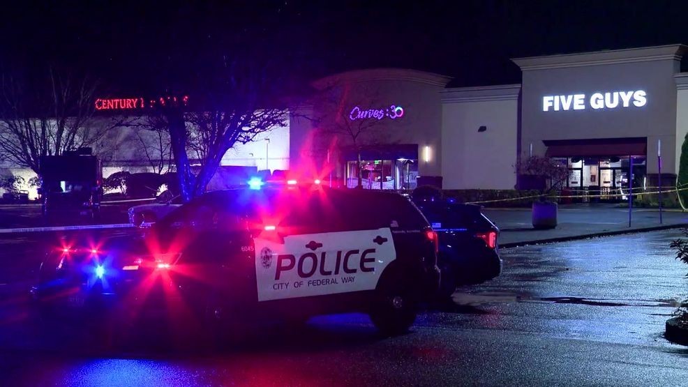 Brothers involved in deadly mall shooting over stolen gun, suspect in ...