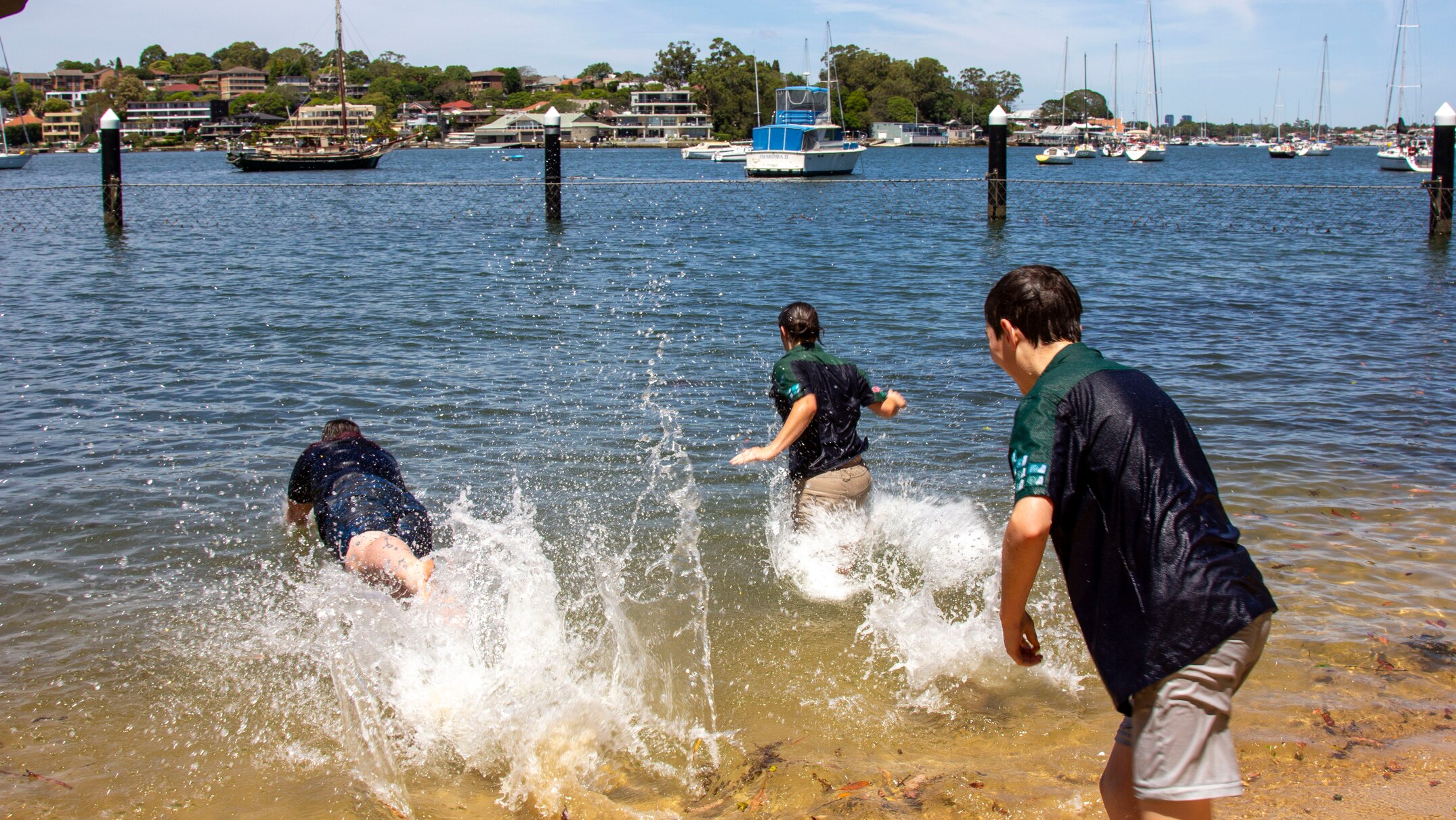 Parramatta River gets new swimming spot at Gladesville's Bedlam Bay