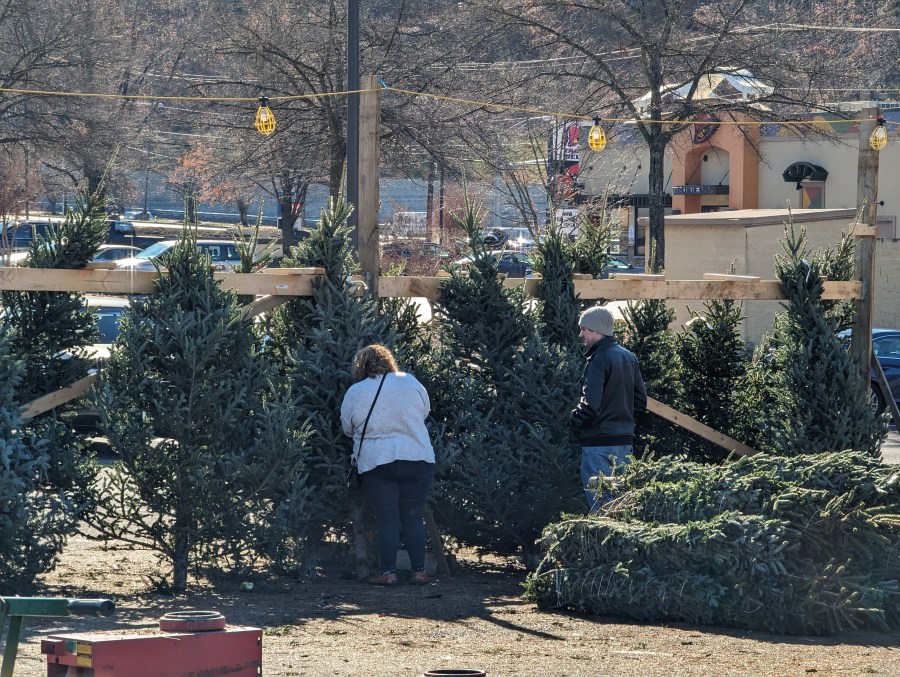 Real vs. fake Christmas trees. How tariffs are impacting artificial ...