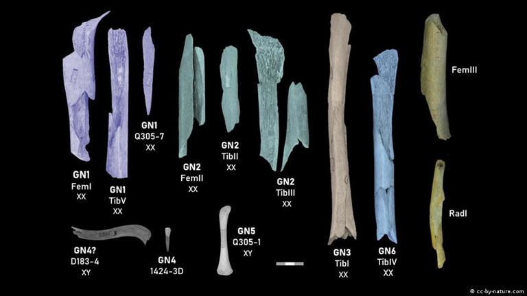 Os neandertais eram canibais que comiam seus rivais?