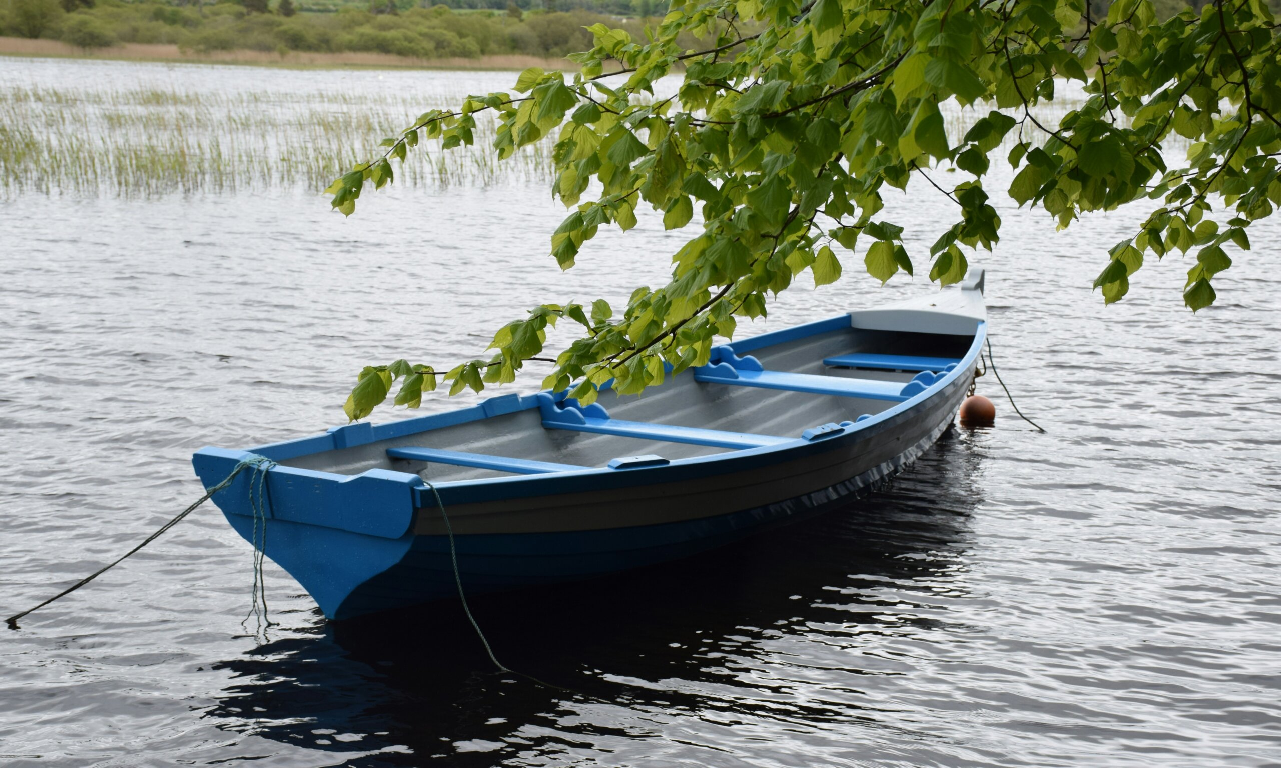 Sligo: Wandering Through Ireland's Wild Beauty and Yeats Country