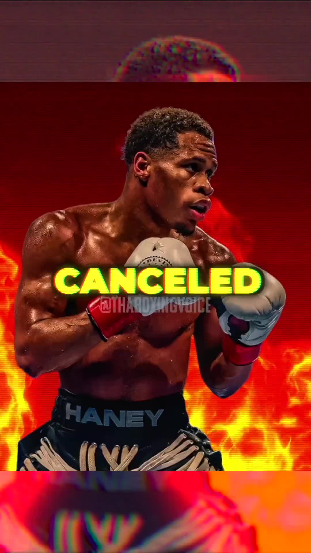 Devin Haney would've been crucified for canceling the fight due to Ryan ...