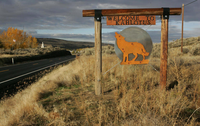 Rural Tri-Cities schools ask voters to keep supporting sports, nurses ...