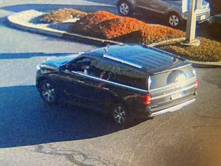 Edmonds police warn of distraction jewelry thefts after elderly woman ...