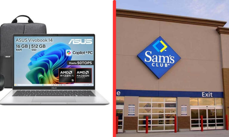 Como laptop Asus Vivobook 14 se encuentra rebajado en Sam’s Club: casi ...