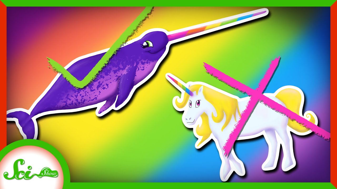 7 real-life unicorns