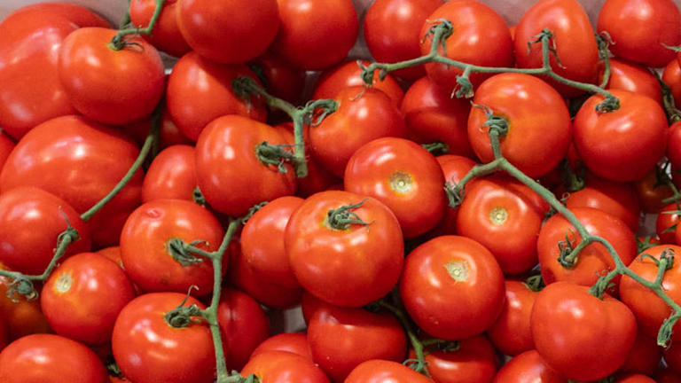 Star Trek’s most underrated film is Certified Fresh on Rotten Tomatoes ...