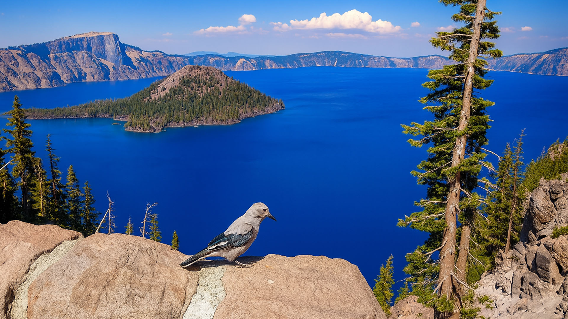 Crater Lake: le acque blu profondissime dell'Oregon (4K)