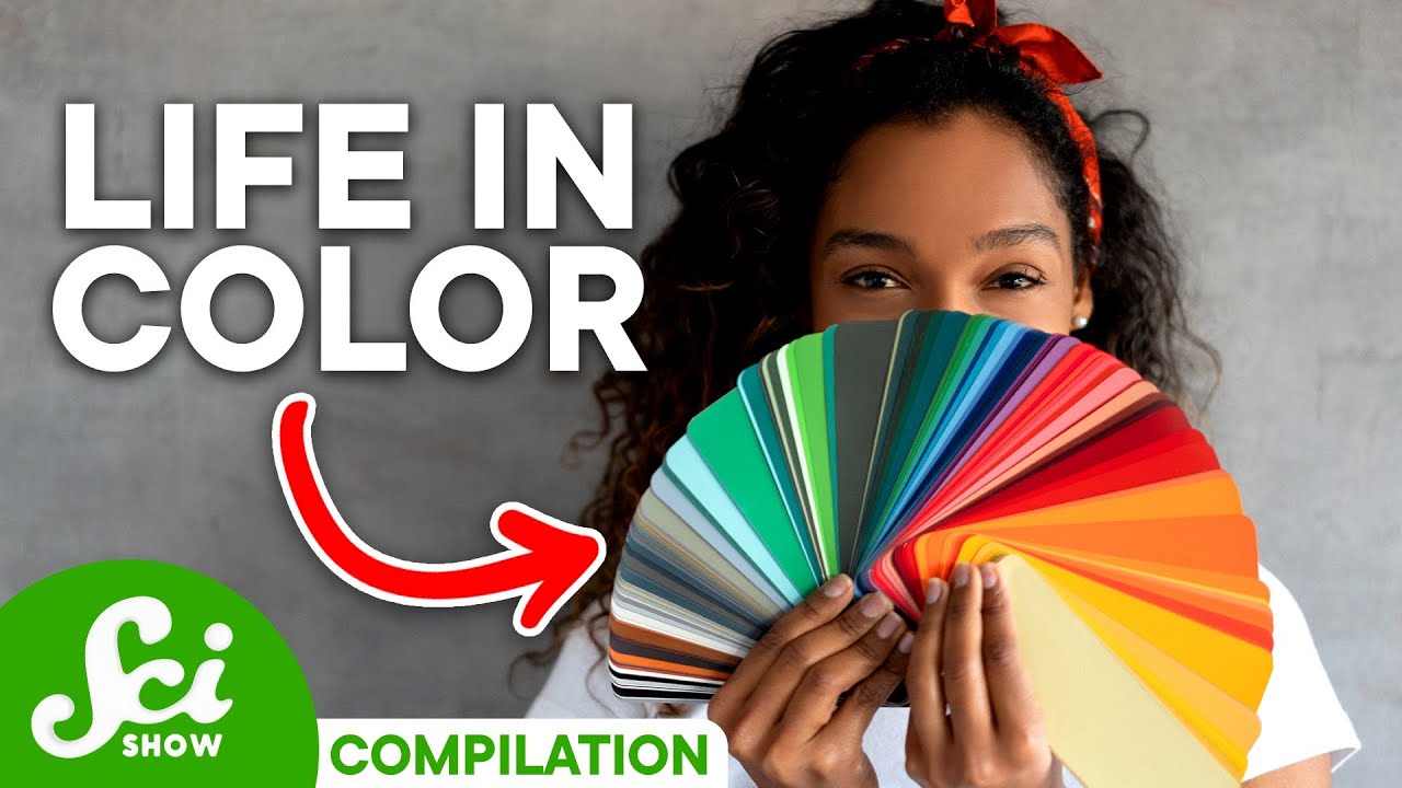 How language changes how we see color | Compilation