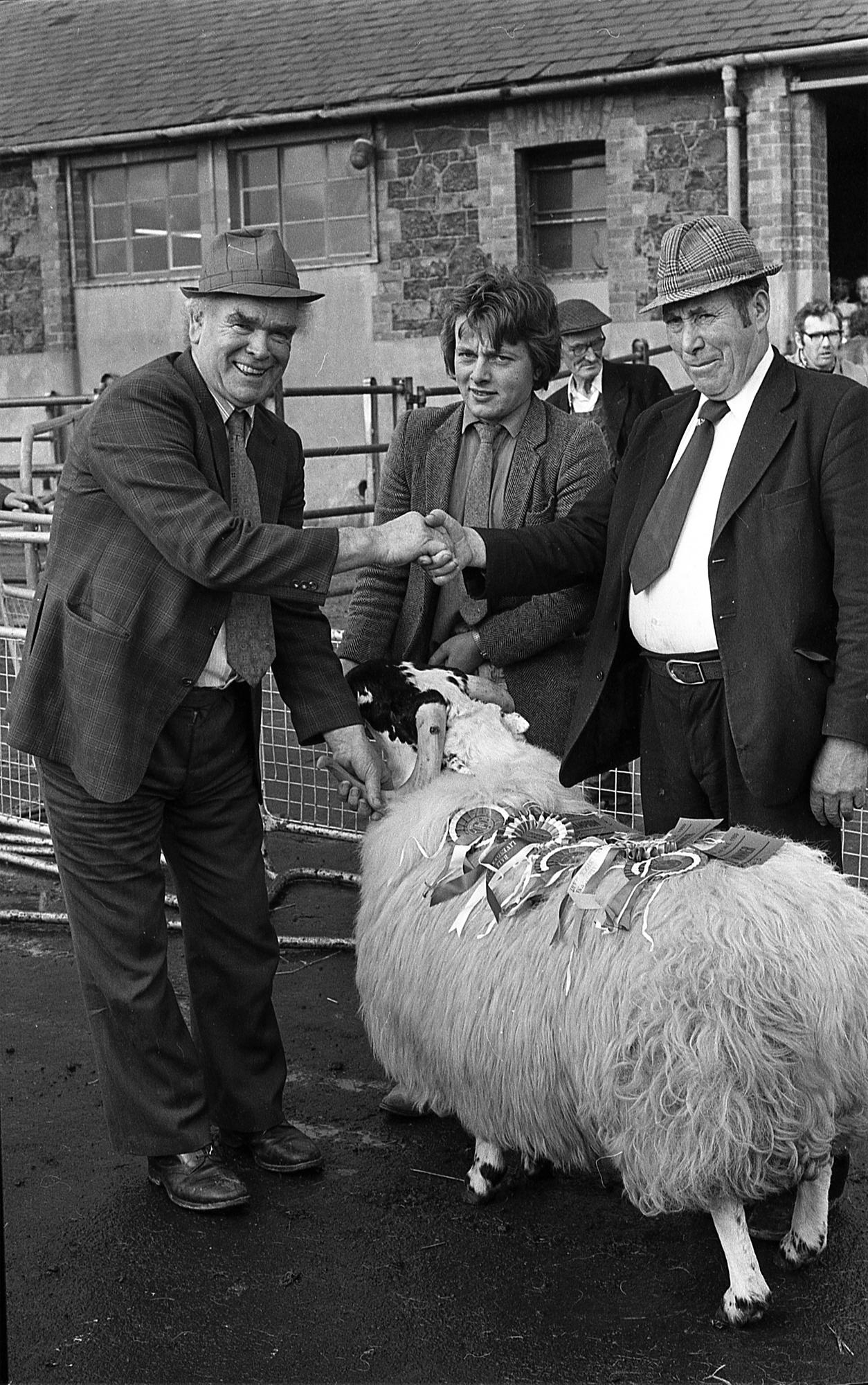 Excellent prices for stock at busy sales at Mid Ulster markets (1983)