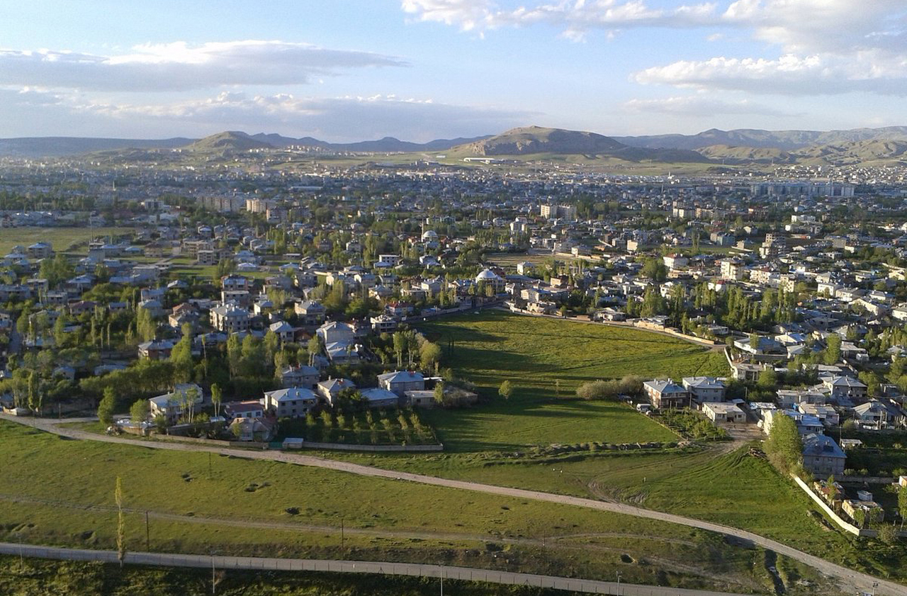 Mistério felino: gatos de Van têm um olho de cada cor