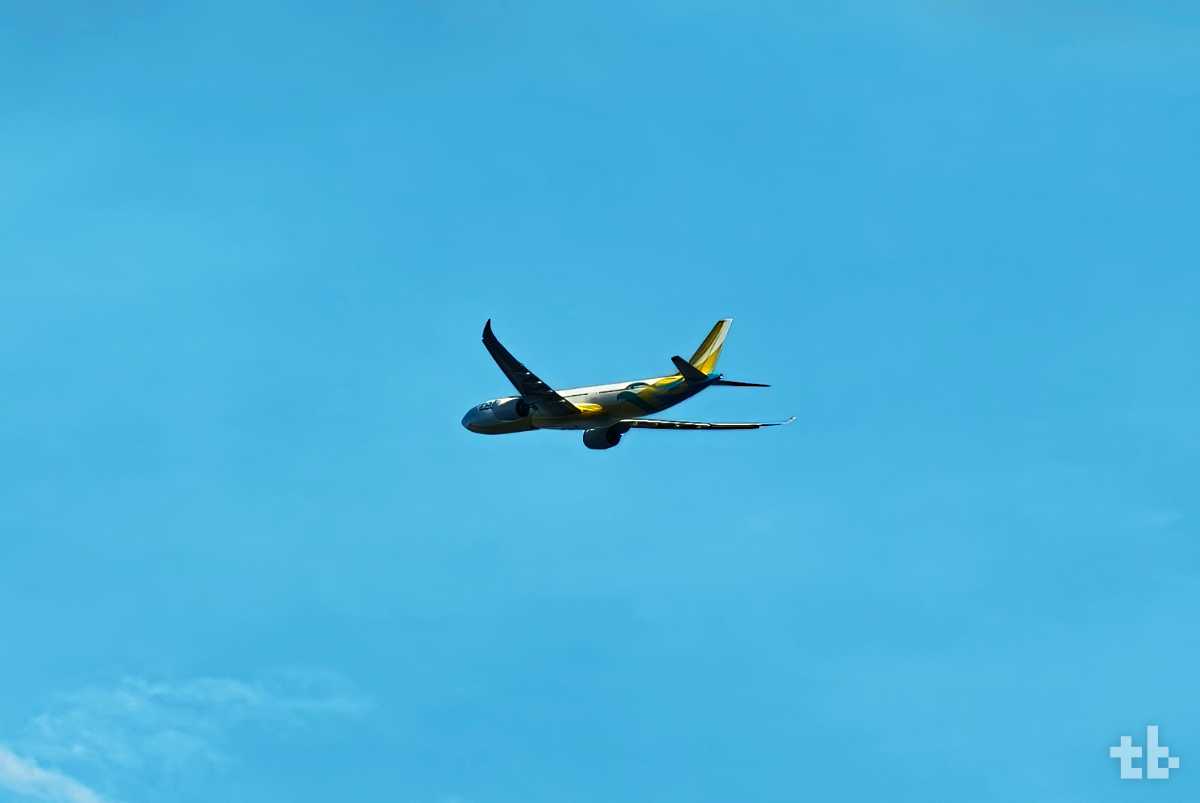 Wondering about all the flight cancellations? Airbus planes need urgent ...