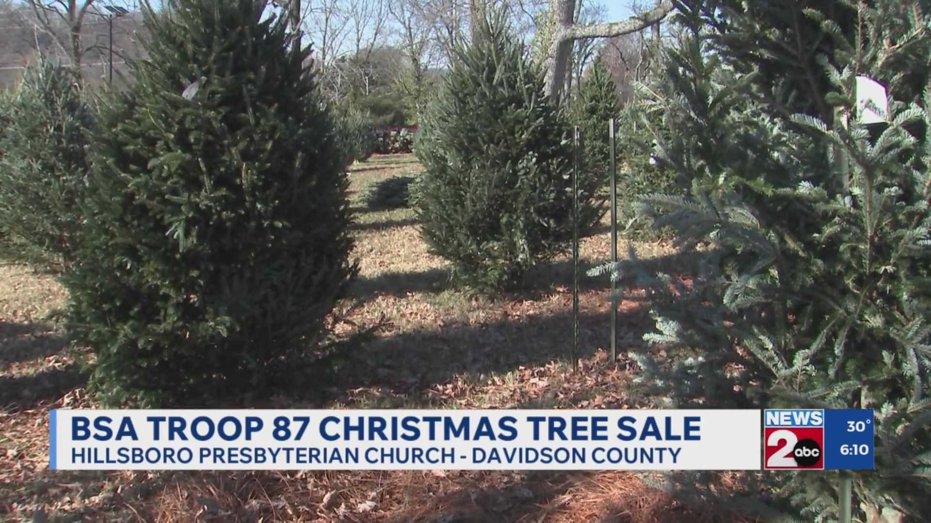 BSA Troop 87 Christmas tree sale in Nashville