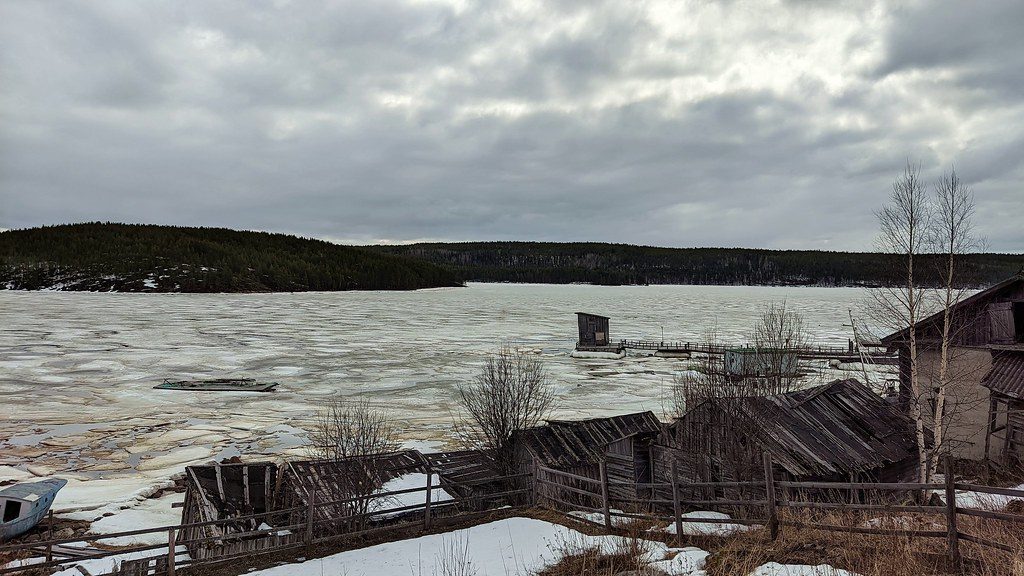 10 Phobias Scientists Can Now Trace Back to Human Evolution