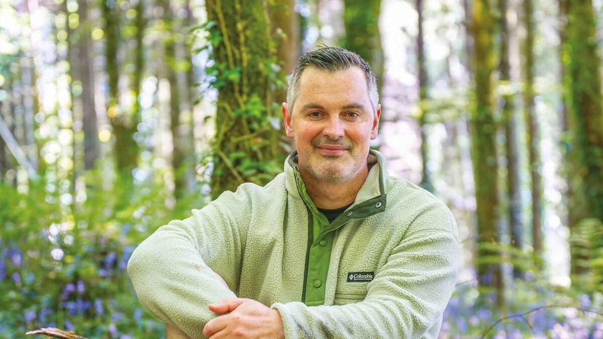 Karl Henry: 'The Portuguese Camino route was beyond what I expected'