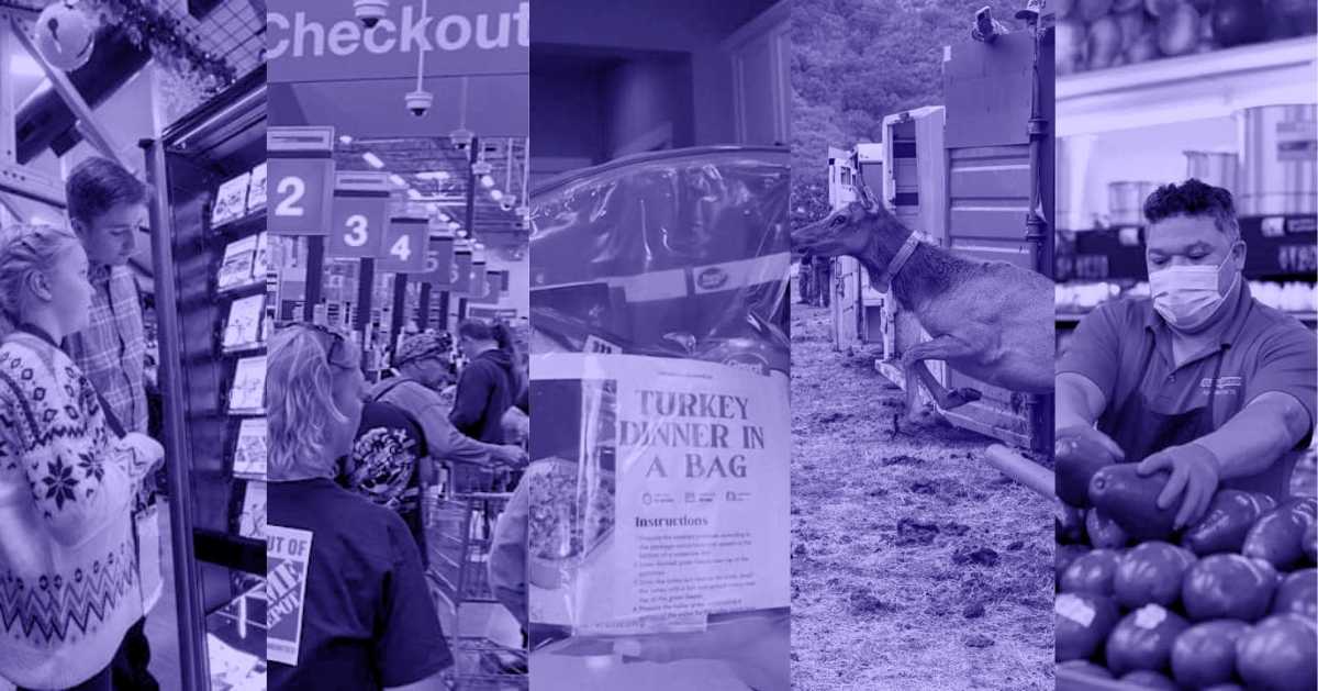 Good News This Week: November 29, 2025 - Groceries, Gardeners, & Food Banks