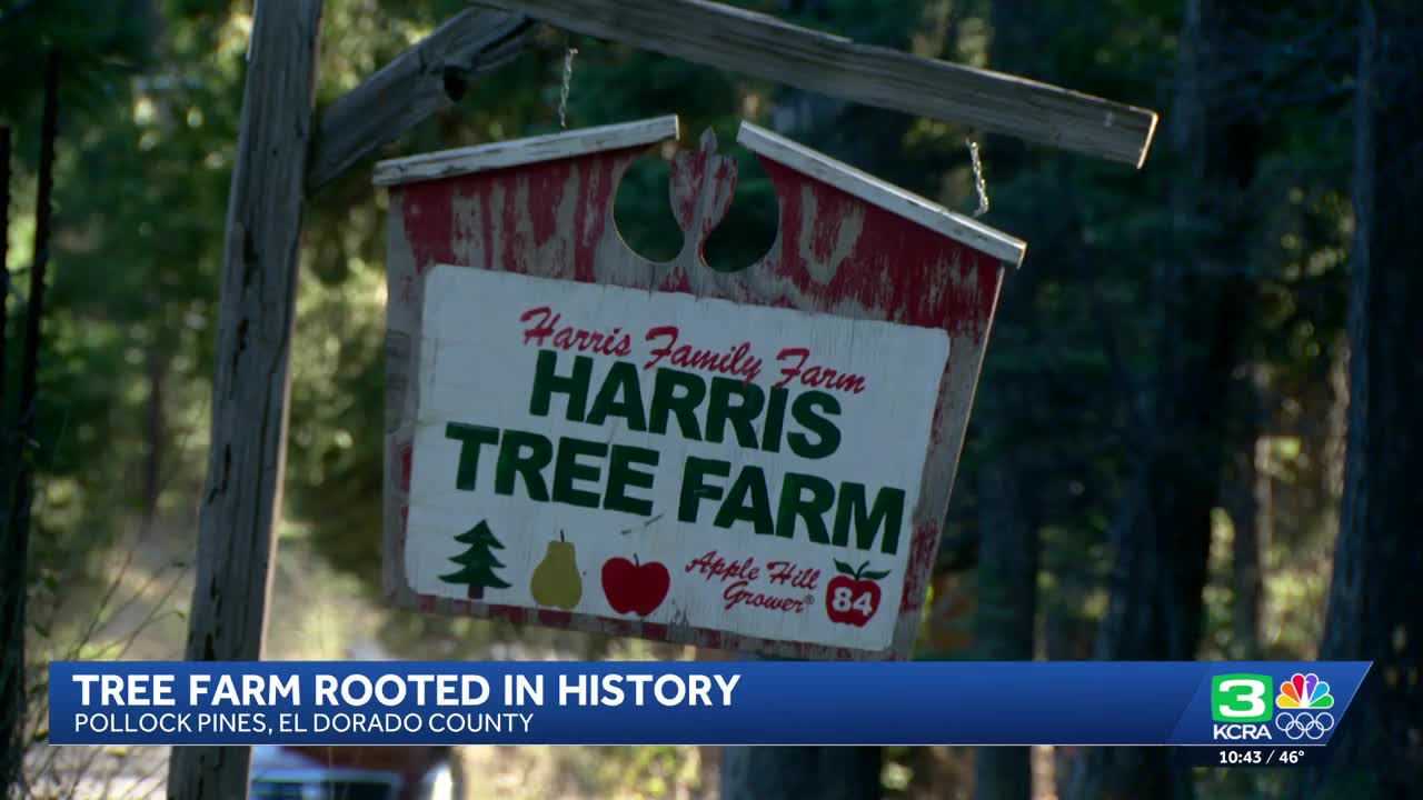 Apple Hill's Harris Family Farm offers special Christmas tree tradition