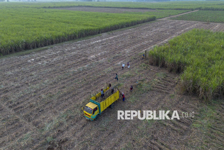 Menkop ajak koperasi tebu rakyat miliki saham pabrik gula