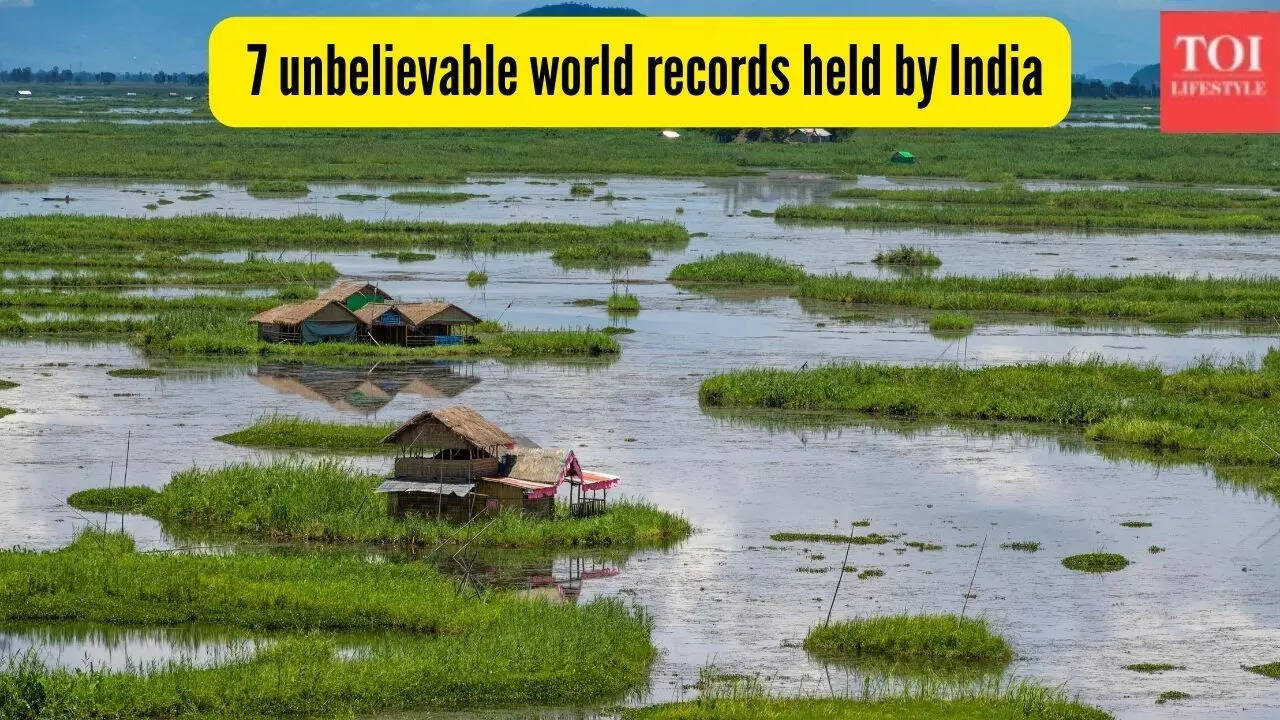 From floating park to tallest statue: Unbelievable world records held ...