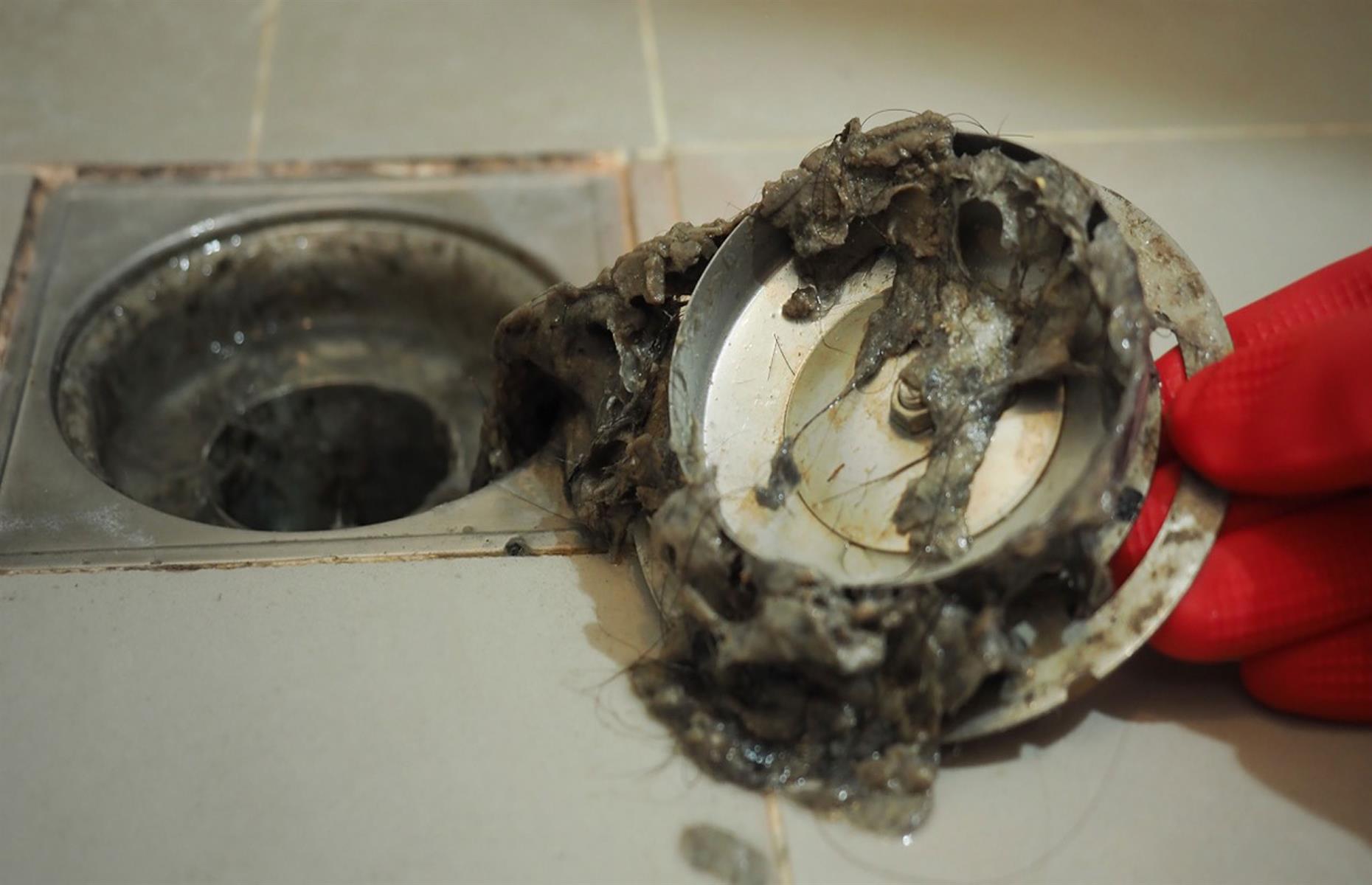 The 27 hidden culprits making your home smell bad