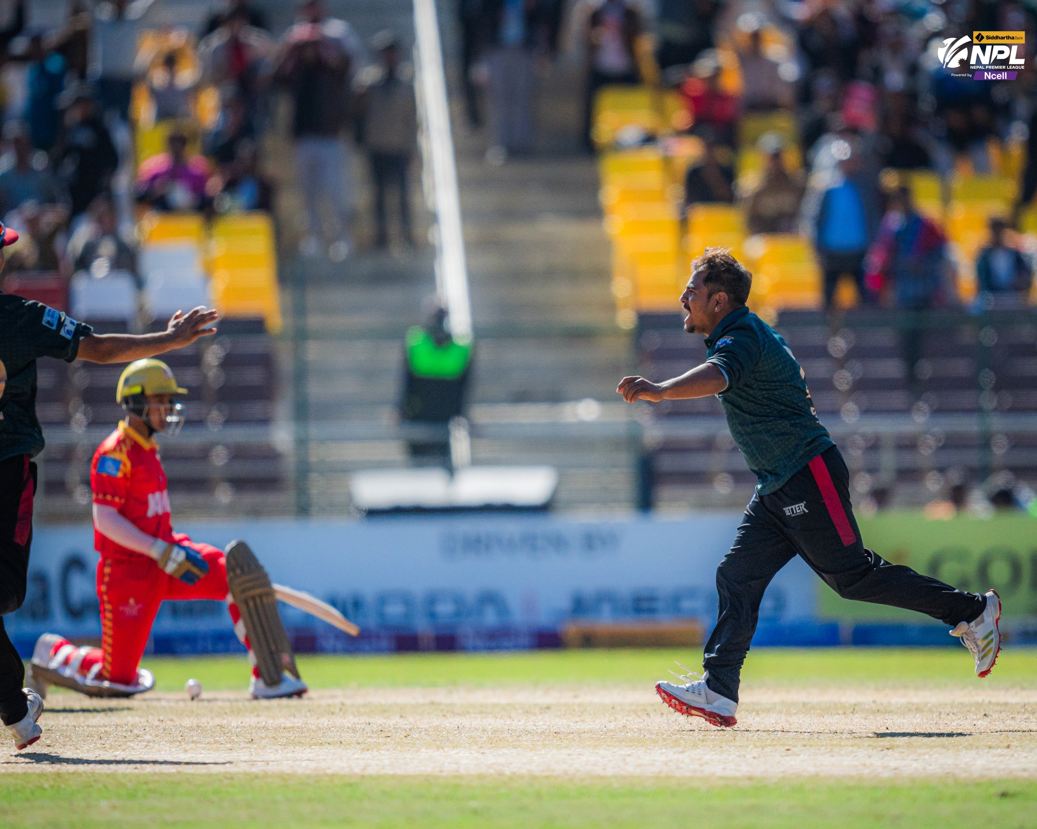 Rossington and Neesham half-centuries power Pokhara to competitive ...