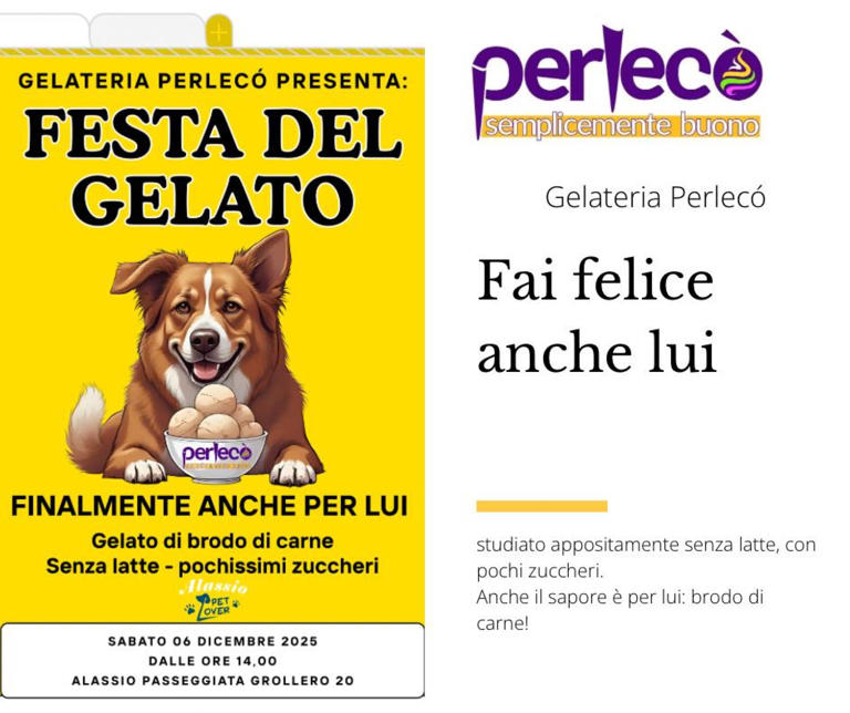 Gelateria ligure lancia il gelato per cani a base di brodo