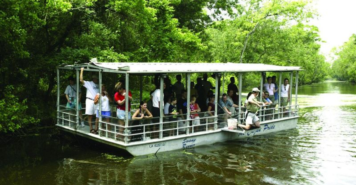 13 Things Travelers Do in Louisiana Cajun Country That Residents Wish ...