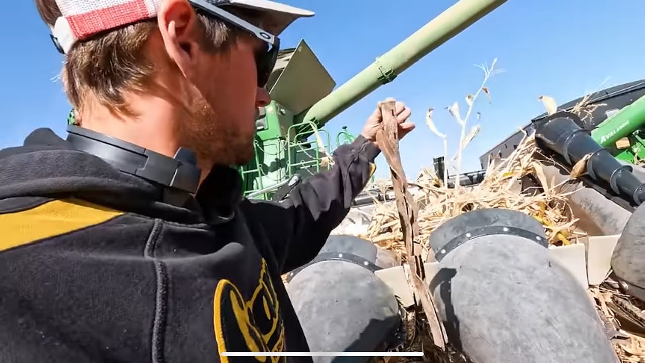 When Corn Heads Meet Steel: A Costly Lesson on the Farm