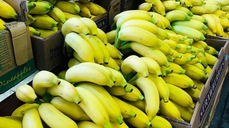 What Are Apple Bananas And What Do They Taste Like?