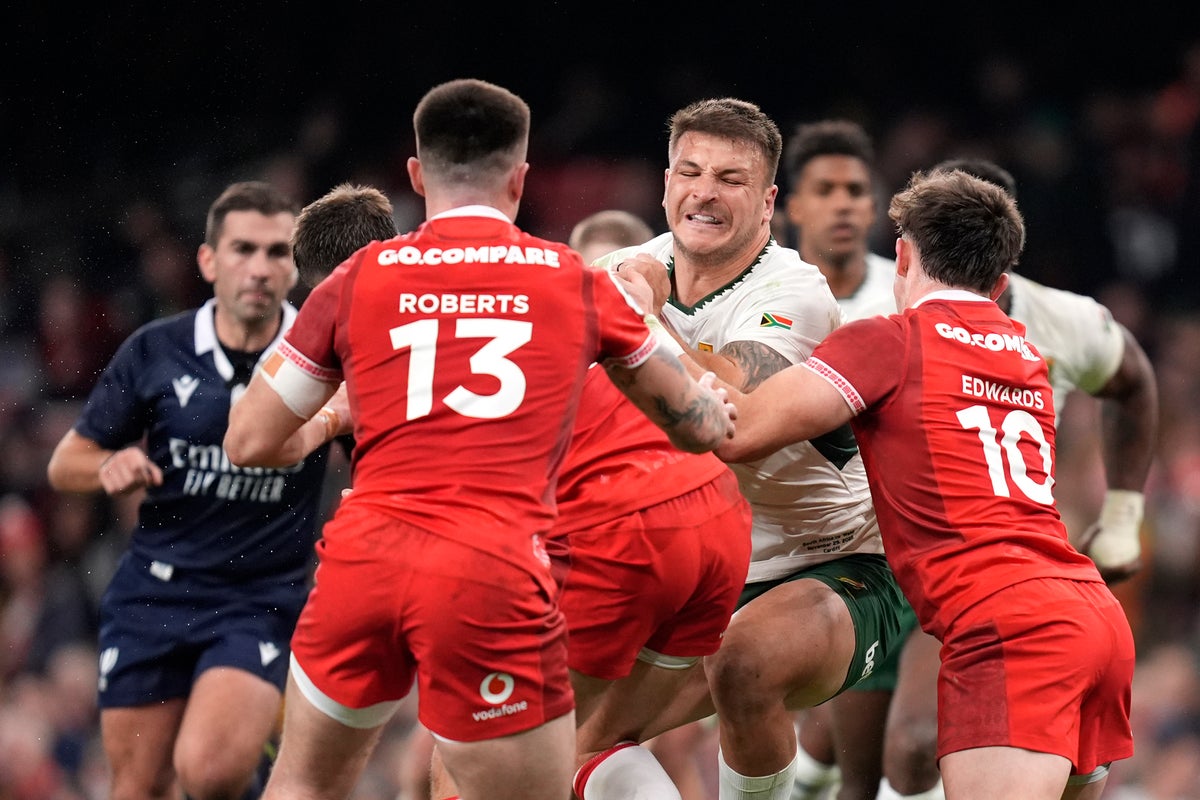 Dominant Springboks run rampant but Etzebeth sent off for eye gouge