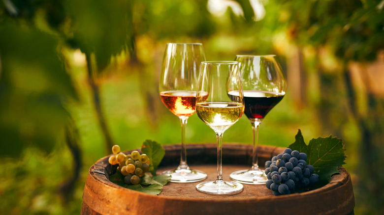 16 Types Of Hybrid Wine Grapes You Should Know About