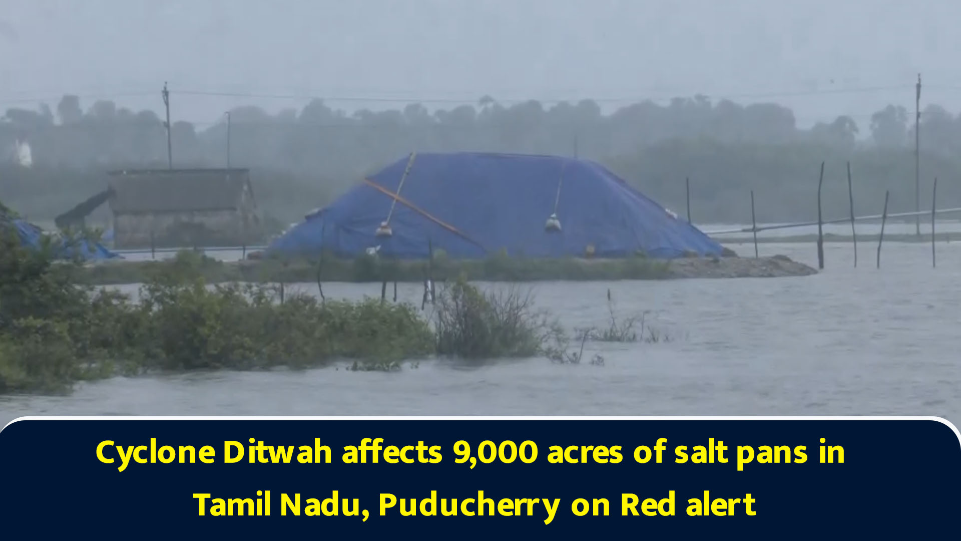 Cyclone Ditwah affects 9,000 acres of salt pans in Tamil Nadu ...