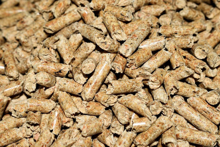 Iper: pellet di conifera Holz da 15 kg a un prezzo shock