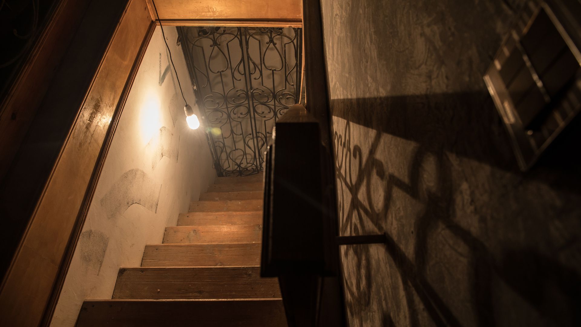 Basement Renovation Uncovers Medieval Graveyard Beneath Home