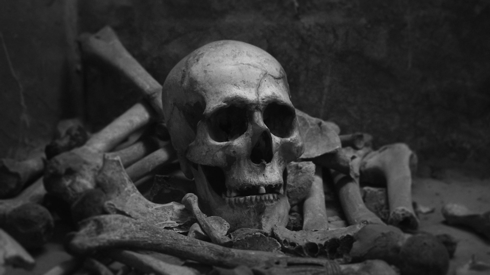 Basement Renovation Uncovers Medieval Graveyard Beneath Home