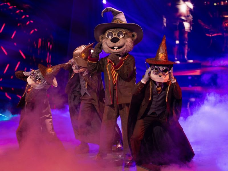 Harry Otter in "The Masked Singer" 2025: Welcher Promi versteckt sich ...