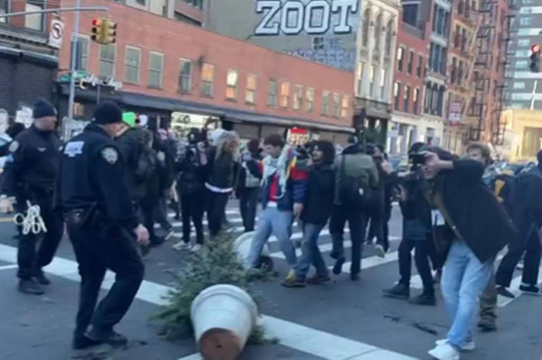 NYPD pepper spray anti-ICE protesters on Canal Street to clear path for ...