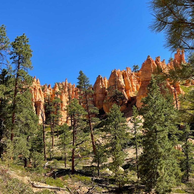 Why Bryce Canyon Was My Least Favorite Utah National Park