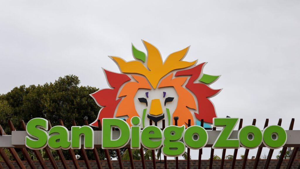 San Diego Zoo Says Goodbye to Its 141-Year-Old 'Queen' Tortoise