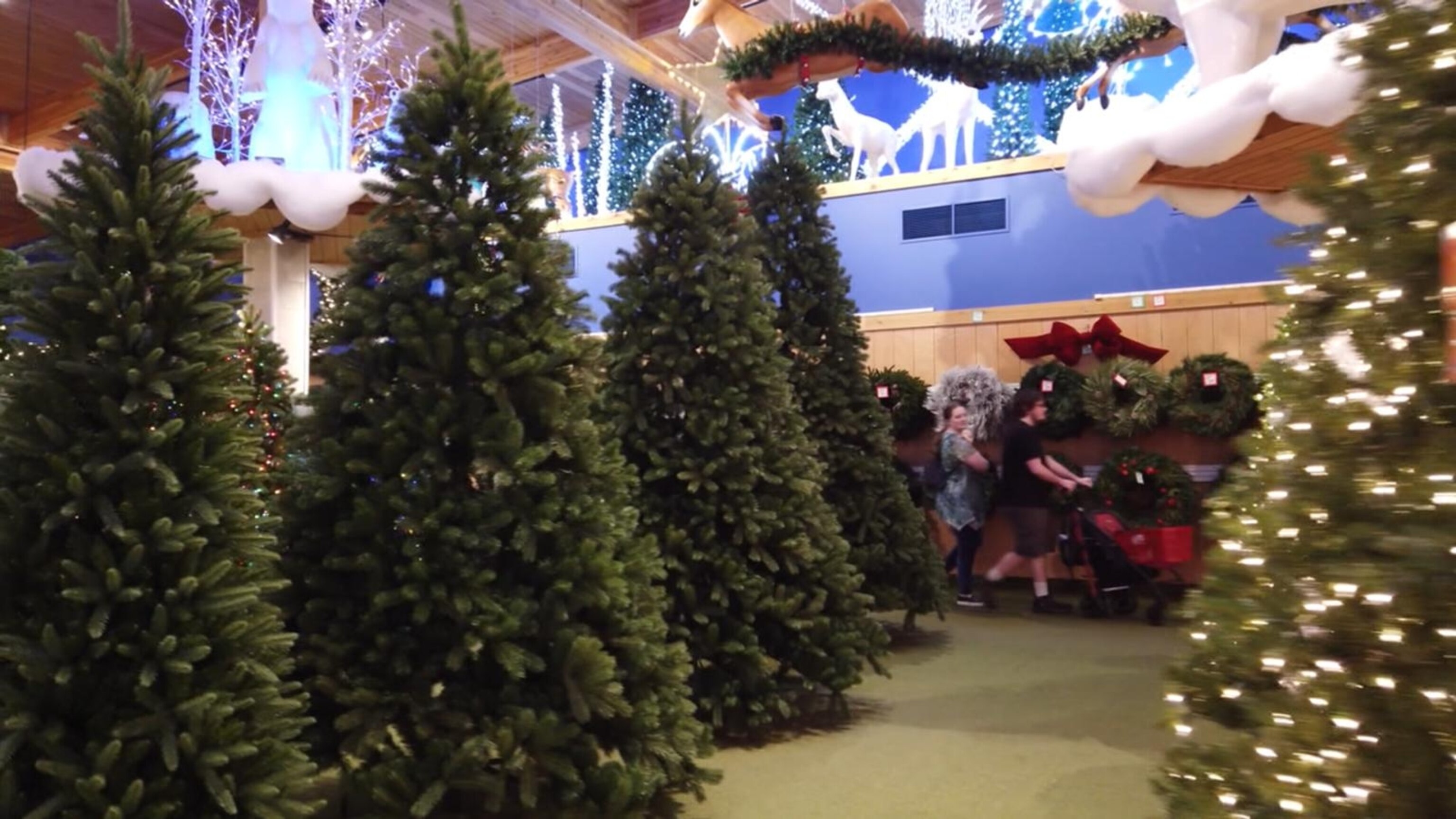 Should you get an artificial or real Christmas tree this year?