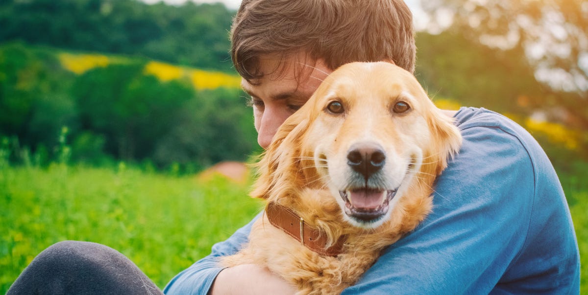 These 15 dog breeds are famous for their sweet and friendly personalities
